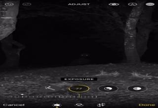 Cryptids of North America: Six Urban Legends Terrorizing the American Psyche - Wtf Gallery ...