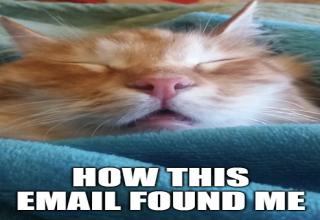 26 'How Your Email Finds Me' Memes - Funny Gallery | eBaum's World