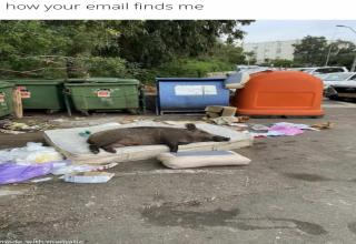26 'How Your Email Finds Me' Memes - Funny Gallery | eBaum's World