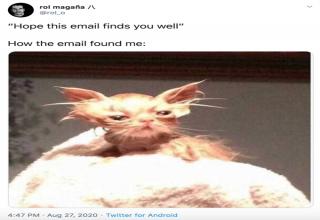 26 'How Your Email Finds Me' Memes - Funny Gallery | eBaum's World