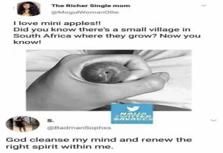 51 Pics of Things That Really Look Like Dicks | eBaum's World