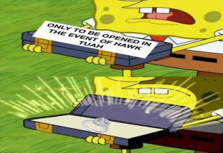 The Best Hawk Tuah Memes to Spit on That Thang - Funny Gallery | eBaum ...