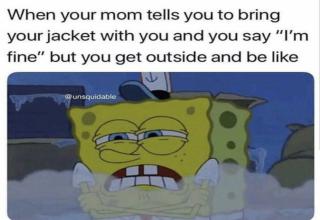 25 Highly-Relatable SpongeBob Memes - Funny Gallery | eBaum's World