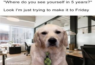 21 Thursday Work Memes to Get You Primed for Friday - Funny Gallery ...