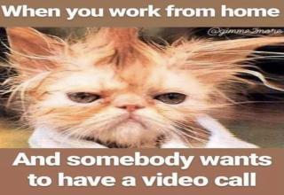 21 Thursday Work Memes to Get You Primed for Friday - Funny Gallery ...
