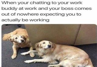 20 Tuesday Work Memes to Help You Lock In - Funny Gallery | eBaum's World