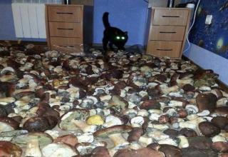 35 Cursed Pics We Found Online - Wtf Gallery | eBaum's World