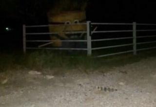 35 Cursed Pics We Found Online - Wtf Gallery | eBaum's World