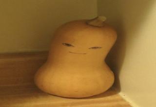 34 Cursed Pics from the Web - Funny Gallery | eBaum's World