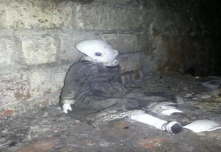 34 Cursed Pics from the Web - Funny Gallery | eBaum's World