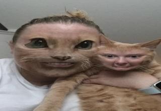 The 50 Funniest and Most Messed-Up Face Swaps We Could Find - Funny ...