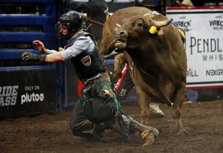 26 People Who Probably Regret Becoming Bullfighters - Funny Gallery ...