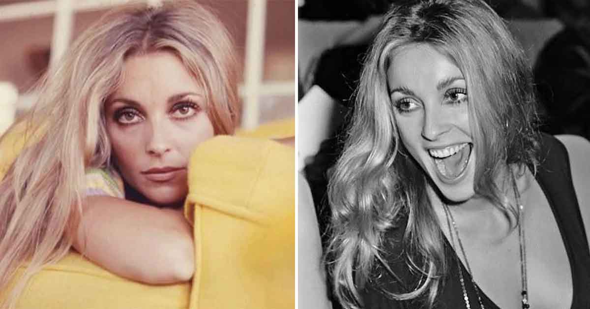 Remembering Sharon Tate’s Life Through Photos | eBaum's World