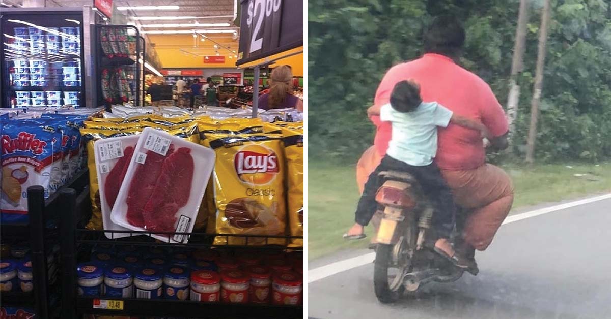 15 Photos Where Common Sense Gets Dumped for Chaos | eBaum's World