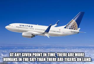 39 Shower Thoughts to Take You on a Tangent - Funny Gallery | eBaum's World