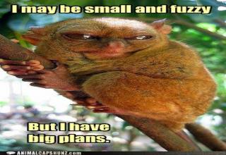 18 Weird, Cool And Cute Animal Pics - Gallery | eBaum's World