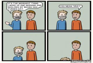 Nonchalant Compilation of 33 Remarkable Images - Funny Gallery | eBaum ...