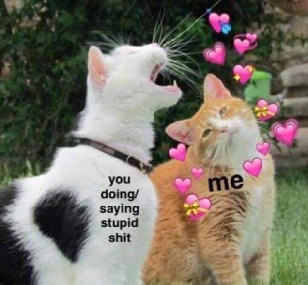 49 Spicy Memes For The Spicy Times Funny Gallery EBaum s World