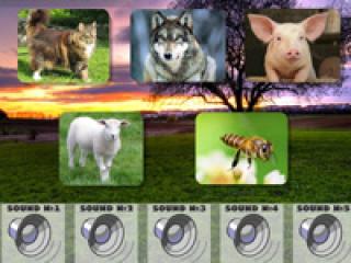 Guess the animal sounds - Game | eBaum's World