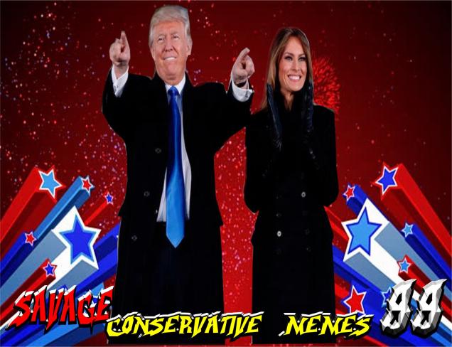 Savage Conservative Memes 88! - Gallery | eBaum's World