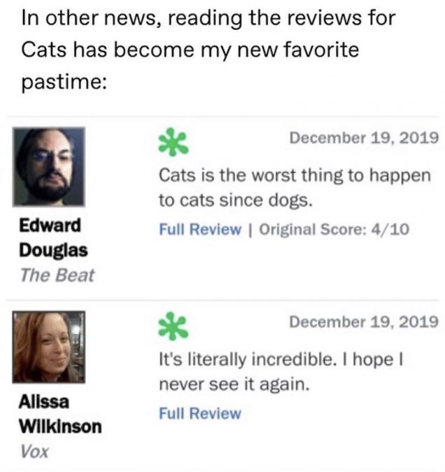 A Handful Of Hilarious Cats Reviews So You Know To Avoid That Movie ...