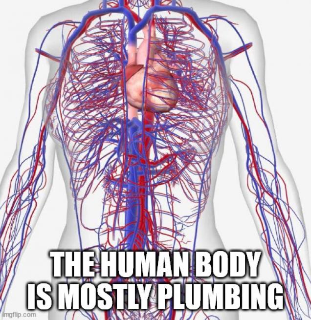 20 Shower Thoughts Gallery Ebaums World