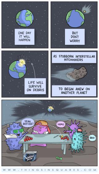 The chosen ones for repopulation - Picture | eBaum's World