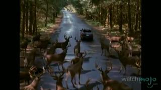 TOP 10 WORST CGI Movie Effects - Video | eBaum's World