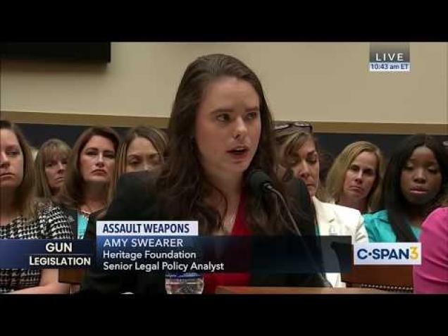 Amy Swearer DESTROYS Anti-Gun Dems in Hearing - Feels Video | eBaum's World