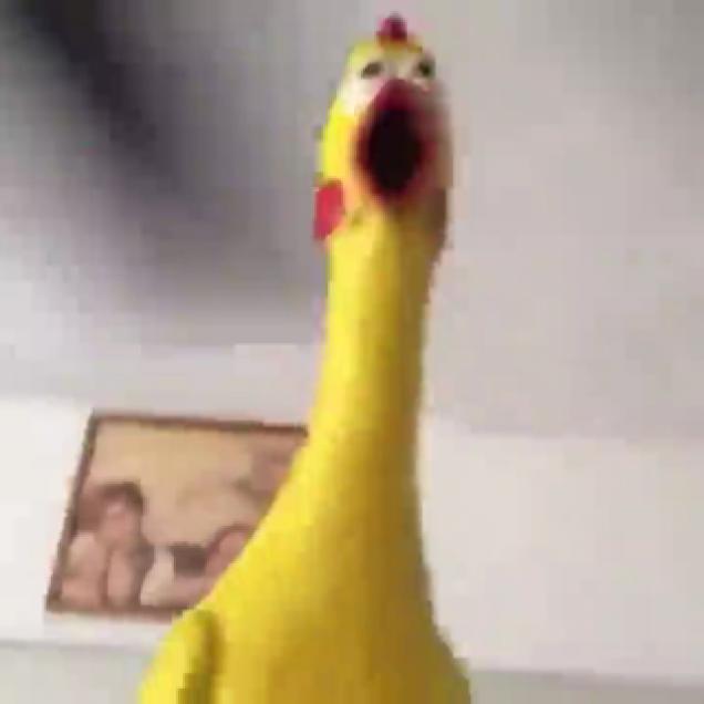 When the chicken hits the fan! - Wtf Video | eBaum's World