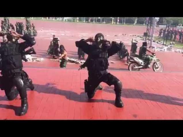 Indonesian special forces rip snakes in half with their teeth - Eww ...