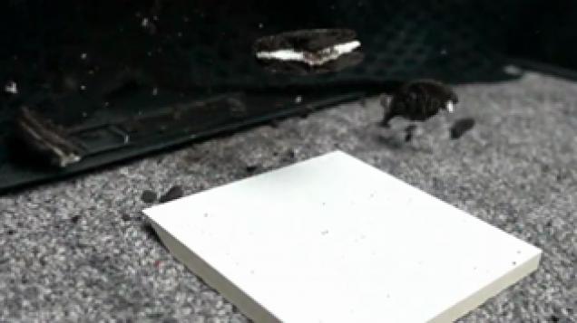Oreo Destroyed By An Invisible Bullet - Wow Video | eBaum's World