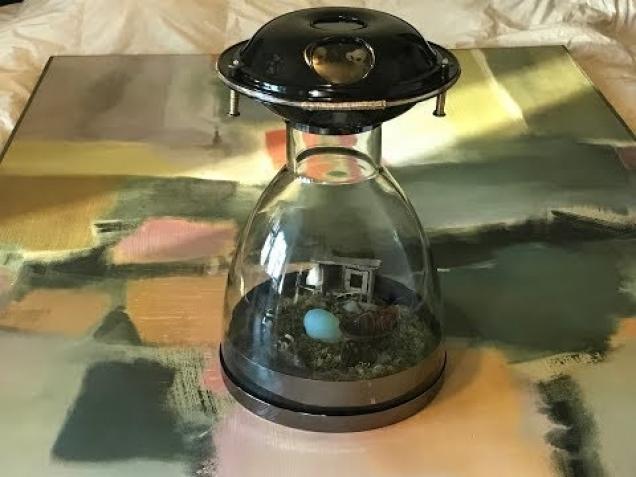 Alien UFO Lamp Terrarium by AkeianCreative - Ftw Video | eBaum's World