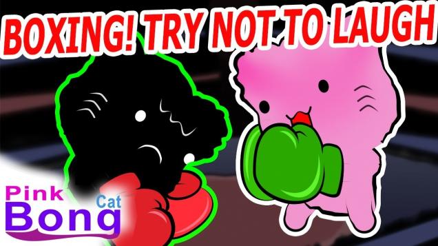 Black Cat knockout - Video | eBaum's World