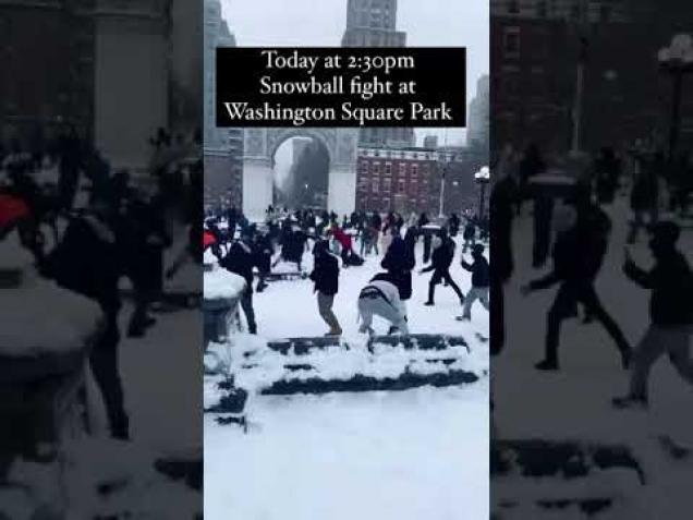 snowball war in NY - Wtf Video | eBaum's World