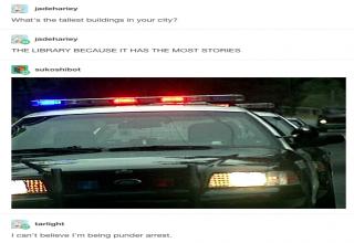 23 Ingenious Jokes That You Should Steal and Use Immediately - Funny ...