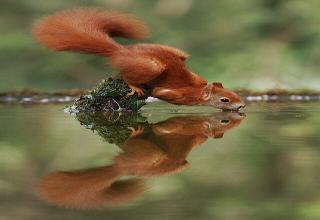 34 Super Random Pics From The Depths of The Interwebs | eBaum's World