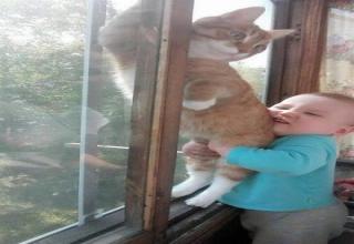 30 Super Random Pictures From The Depths of the Interweb - Funny ...