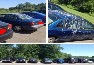 Take a Break and Enjoy These 22 Random Delights - Funny Gallery | eBaum ...