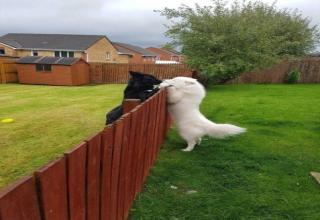 27 Super Random Pics That'll Heighten Your Senses | eBaum's World