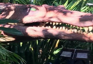 27 Super Random Pics That'll Heighten Your Senses | eBaum's World