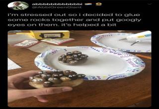 23 Random Funny Pics Just for You to Scroll Through - Funny Gallery ...