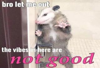 34 Hilarious Memes For Your Enjoyment | eBaum's World