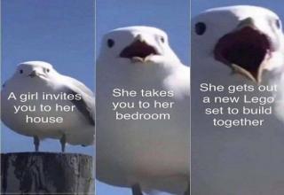 35 Uplifting Memes to Remind You There's Still Good in the World ...