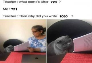 49 Extremely Useless, Random, and Funny Memes - Funny Gallery | eBaum's ...