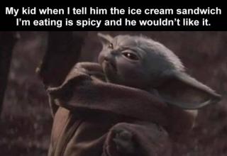 86 Stellar Memes to Occupy Your Time - Funny Gallery | eBaum's World