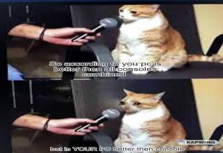 86 Stellar Memes to Occupy Your Time - Funny Gallery | eBaum's World