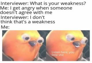 49 Golden Memes To Get Your Week Started - Funny Gallery | eBaum's World