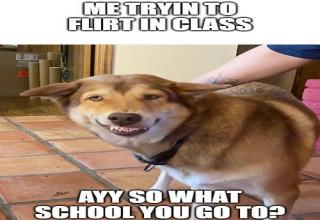 49 Golden Memes To Get Your Week Started - Funny Gallery | eBaum's World