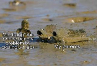 49 Golden Memes To Get Your Week Started - Funny Gallery | eBaum's World